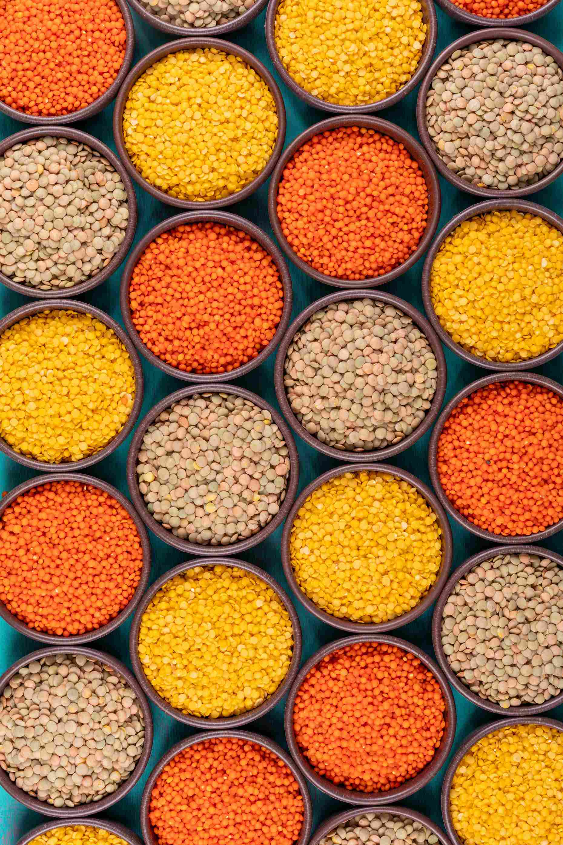 Šošovica - typy šošovice